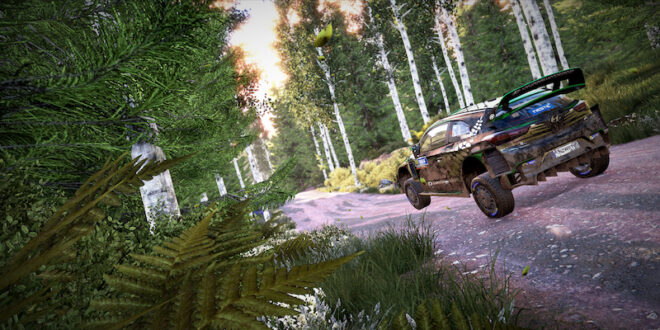 WRC 9 (Xbox Series X|S) Review | BrutalGamer